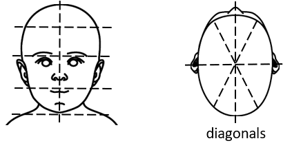 head shape, plagiocephaly, craniosynostosis, torticollis, brachycephaly ...